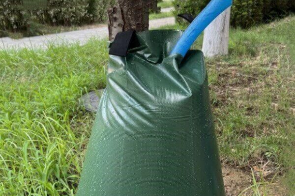 Treeswell – Premium Tree Watering Bags for Professionals – Keep Your ...